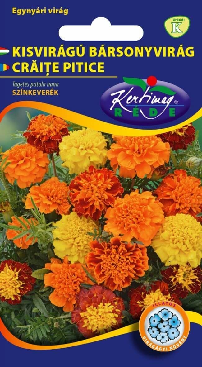 Seminte de Craite cu flori mici (mix) / Tagetes patula nana – Kertimag