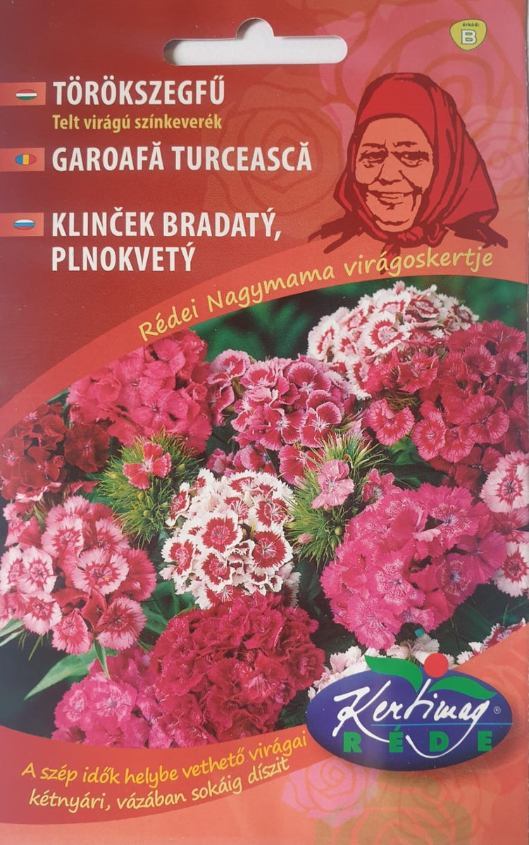 Garoafa turceasca cu flori involte / Dianthus barbatus – Kertimag